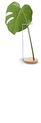 SwipedOn: Visitor Management System | Digital In and Out Board | Sign ...